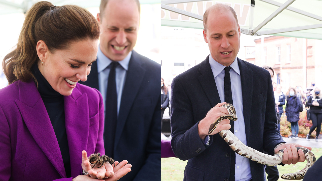 Kate Middleton holds tarantula named Charlotte; Prince William handles ...