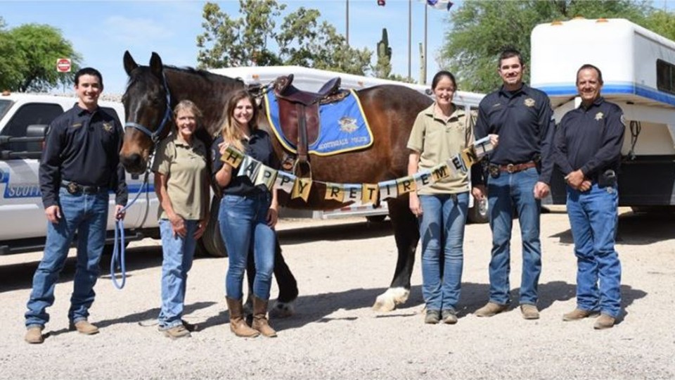 ‘Big Ben’: Arizona police horse celebrates retirement - The Eagle 106.9 ...